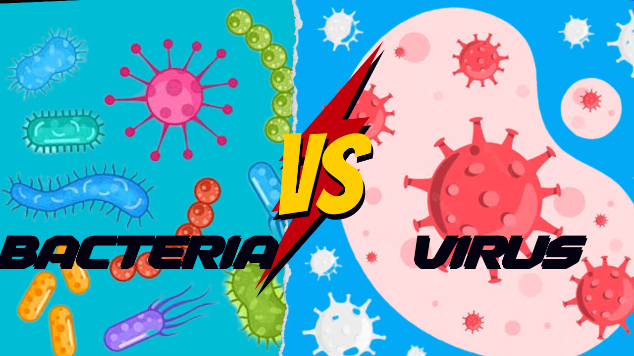 BACTERIA VS VIRUS:DIFFERENCE AND EVERYTHING YOU NEED TO KNOW